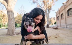 Persian Innovations in Agriculture - Untold Persia